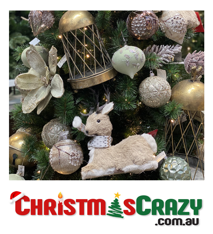 Christmas Crazy Store Photo Gallery - Christmas Crazy Shop