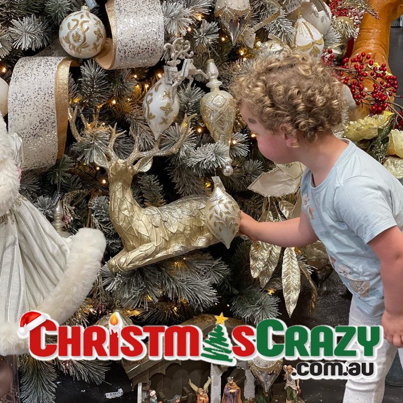 Christmas Crazy Store Photo Gallery - Christmas Crazy Shop