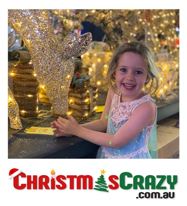 Christmas Crazy Store Photo Gallery - Christmas Crazy Shop
