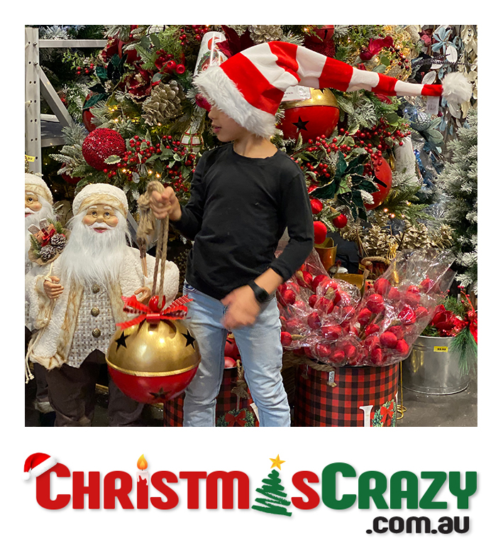 Christmas Crazy Store Photo Gallery - Christmas Crazy Shop