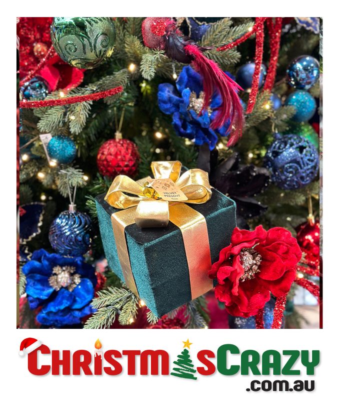Christmas Crazy Video & Photo Gallery - Christmas Crazy Shop