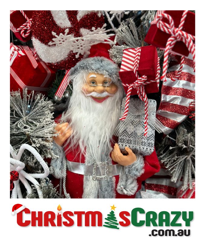 Christmas Crazy Video & Photo Gallery - Christmas Crazy Shop