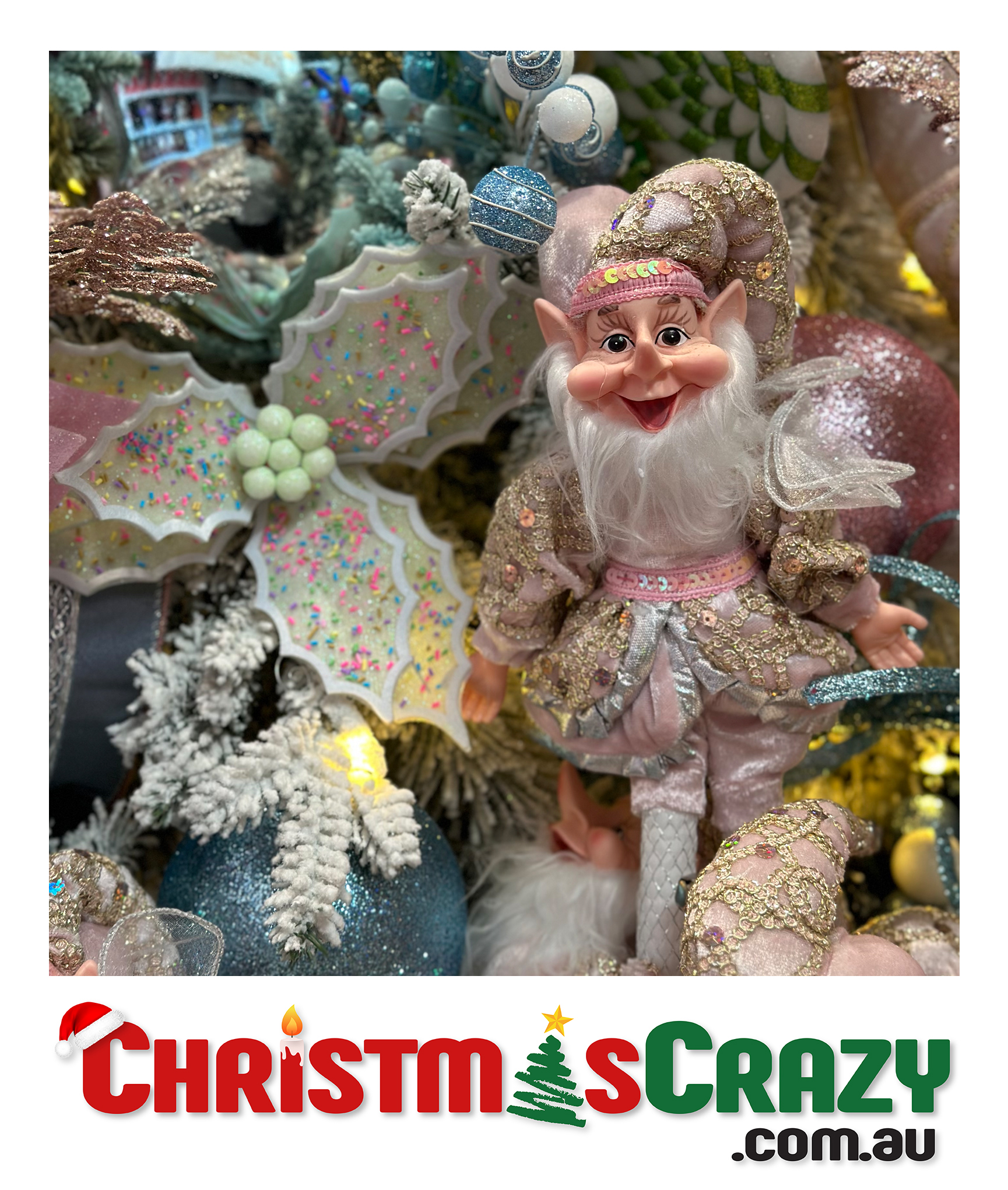 Christmas Crazy Video & Photo Gallery - Christmas Crazy Shop
